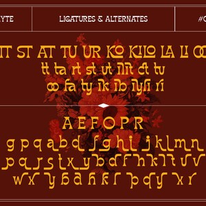 Neophyte Typeface, Vintage Font, 60s Font, Reverse Contrast, Display ...