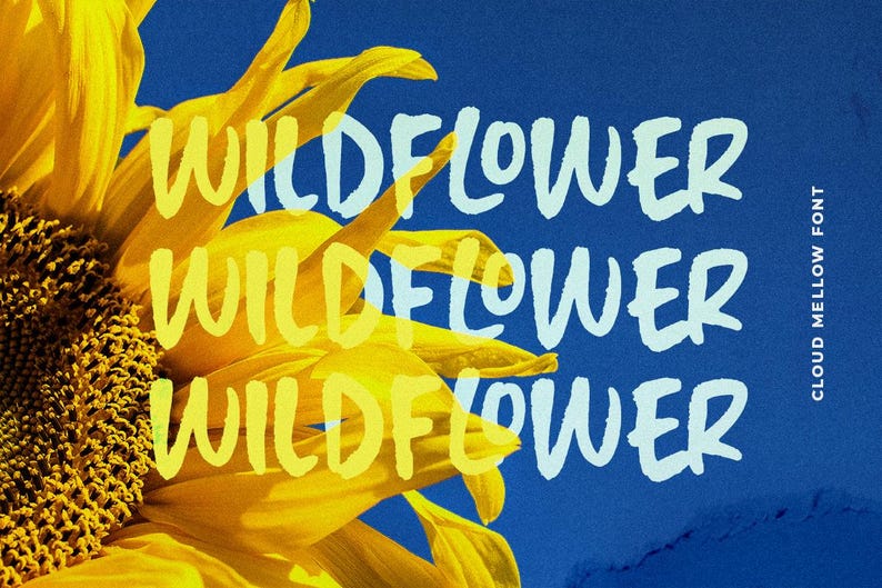 Cloud Mellow Brush Font: Playful Handwritten Display Font - Etsy