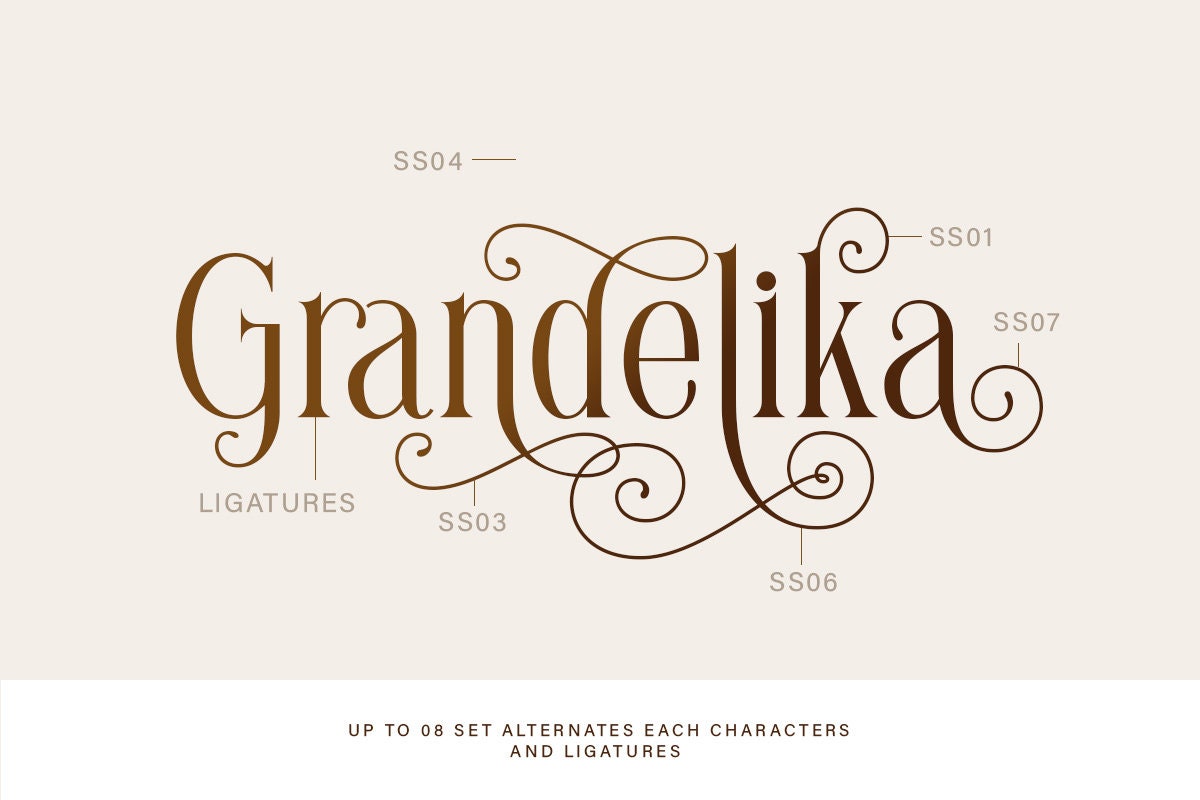 Brilliantly Serif Font: Stylish Swash & Headline Font - Etsy