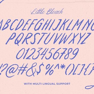 Little Bleach Font Duo: Casual Script & Organic Handwriting - Etsy