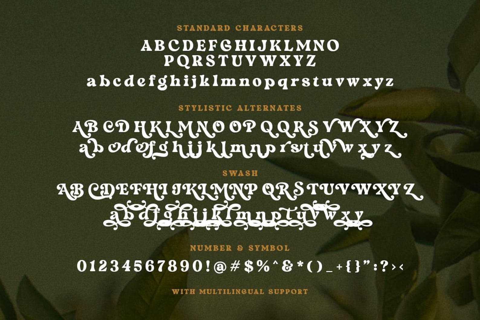 Radnick Retro Swash Font: Stylish Vintage Serif - Etsy