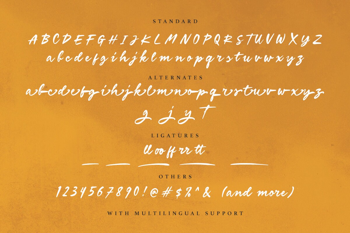 Saltire Script Font Script Font Handwritten Font - Etsy