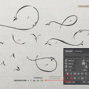 Belukar - Unique Display Script, Script Font, Display Font, Ornament Font, Swash Font, Unique ...