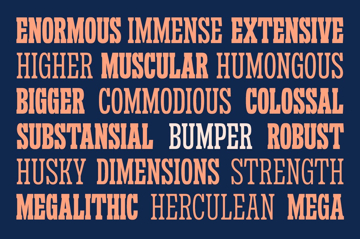 Sanford Region Font: Condensed Slab Serif, Bold Logo Font - Etsy
