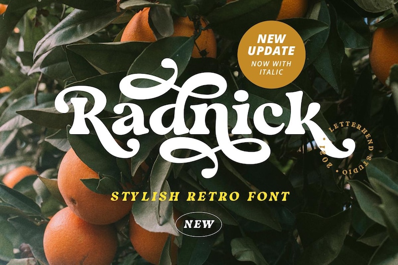 Radnick Retro Swash Font: Stylish Vintage Serif - Etsy