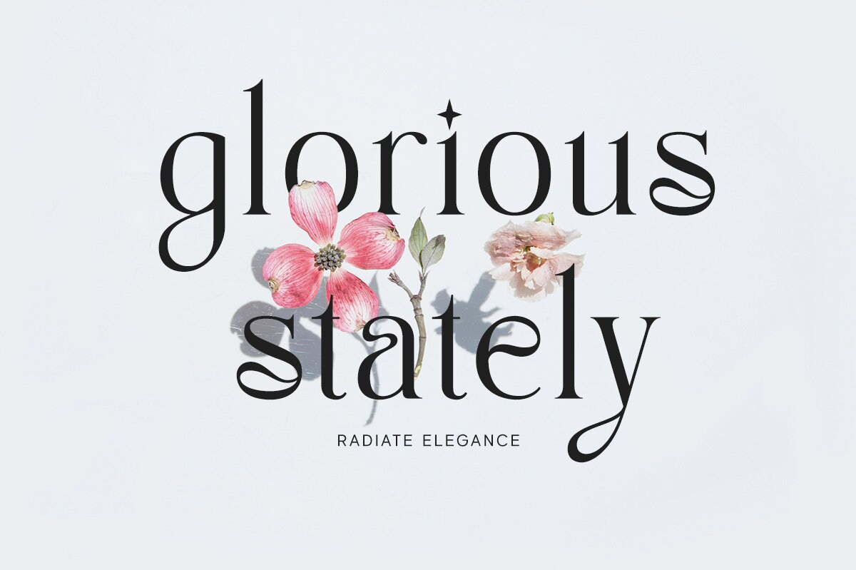 Auratica Typeface, Unique Font, Sophisticated Font, Clean Font, Modern ...