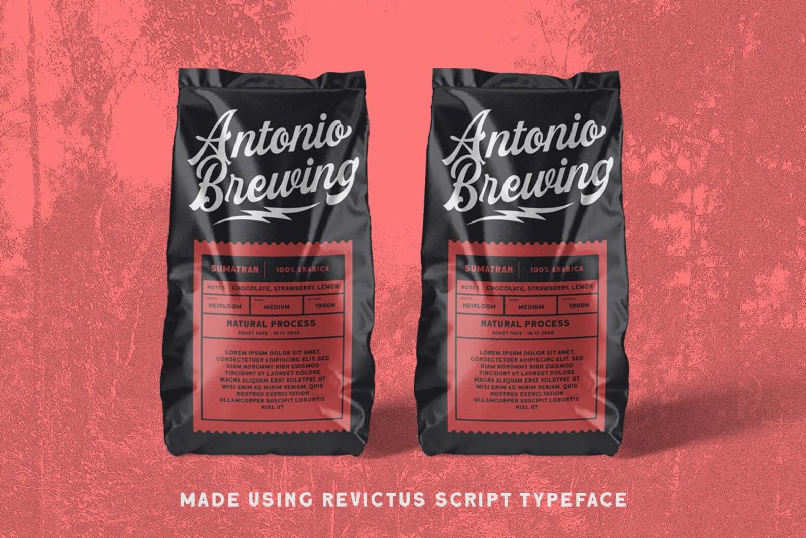 Revictus Script, Vintage Font, Gritty Font, Rustic Font, Retro Font ...