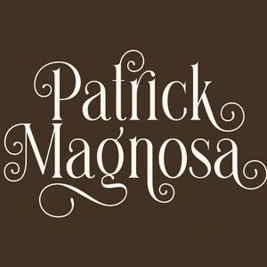 Brilliantly Serif Font: Stylish Swash & Headline Font - Etsy