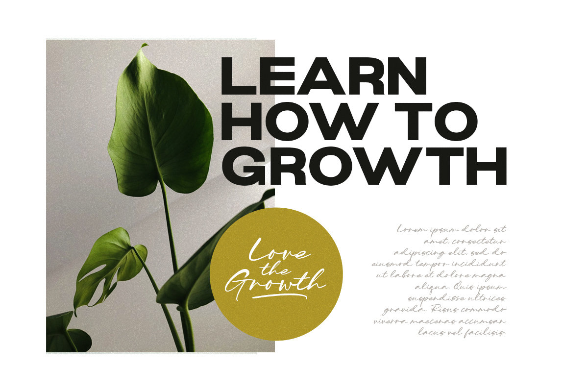 Grand Wilson Font Duo, Bold Sans, Font Duo, Display Font, Font Bundle ...