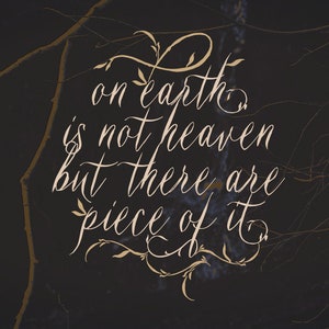 Belukar - Unique Display Script, Script Font, Display Font, Ornament Font, Swash Font, Unique ...