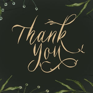 Belukar - Unique Display Script, Script Font, Display Font, Ornament Font, Swash Font, Unique ...