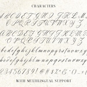 Golden Rouge Vintage Script Font: Elegant Wedding & Logo Design - Etsy