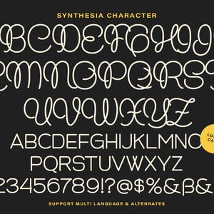 Synthesia Display Font: Quirky Experimental Font - Etsy