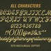 Badalona Display Script Font: Bold Retro Groovy Font - Etsy