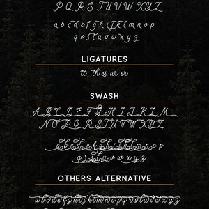 Motherline Vintage Font Toolbox: Logo Templates & Illustrations - Etsy