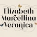 Ginevra Stylish Display Font, Sophisticated Font, Luxury Font ...