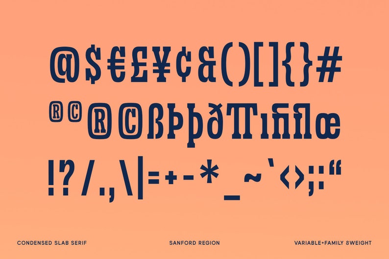 Sanford Region Font: Condensed Slab Serif, Bold Logo Font - Etsy