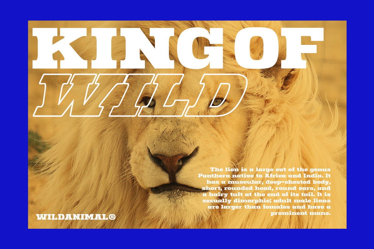 Ridge Cliff - Slab Serif Font, Slab Font, Slab Serif, Bold Font, Loud ...