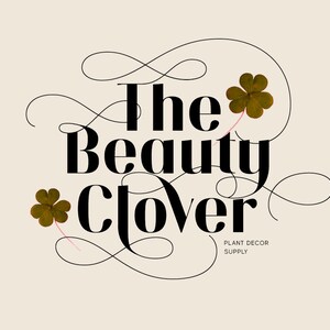 Ginevra - Stylish Display Font, Sophisticated Font, Luxury Font ...