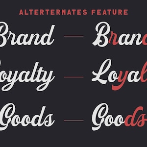 Revictus Script, Vintage Font, Gritty Font, Rustic Font, Retro Font ...