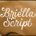 Briella Script.bold Script, Script Font, Romantic Font, Beauty Font, Pretty Font, Curly Font ...