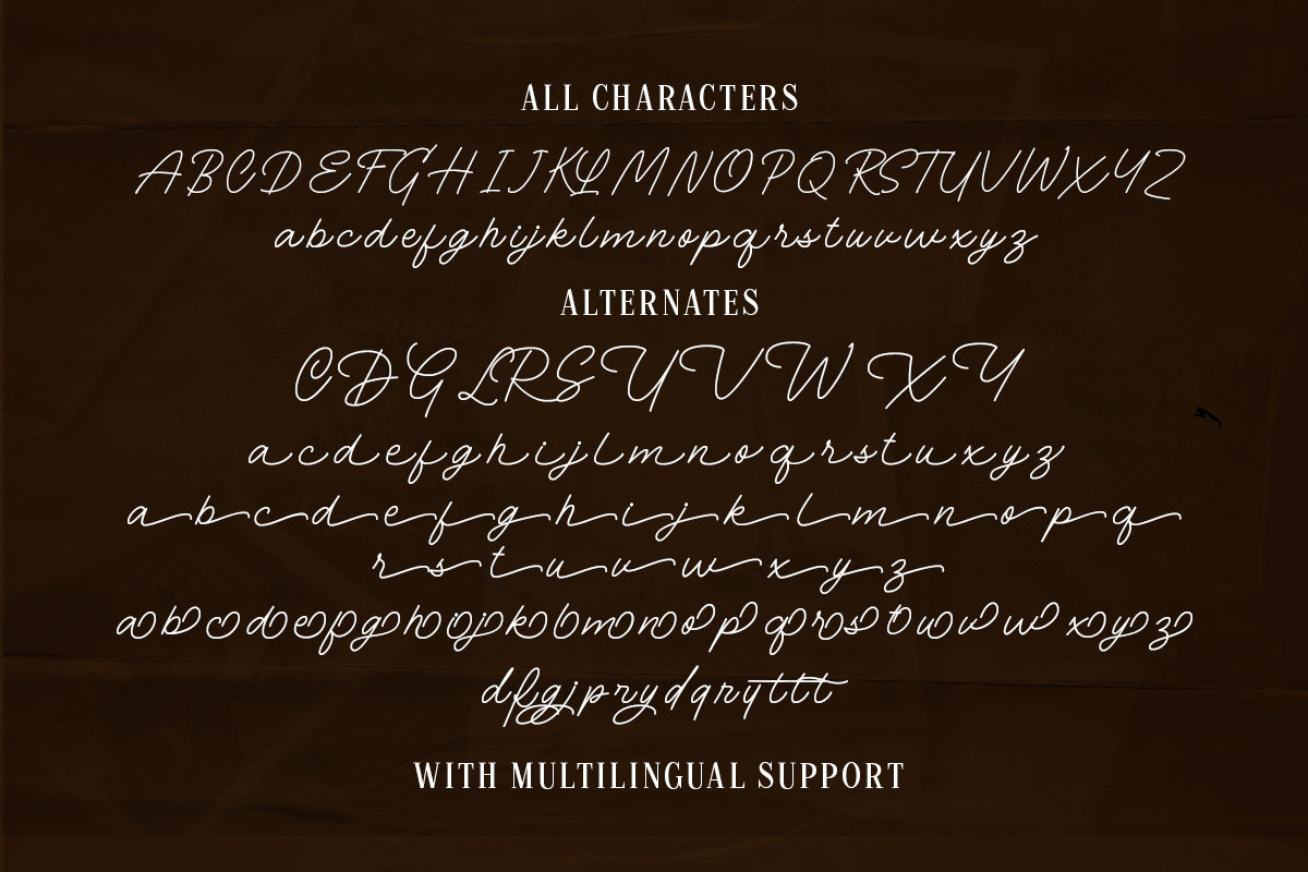 The Randi Handwritten Script Signature Script Signature - Etsy