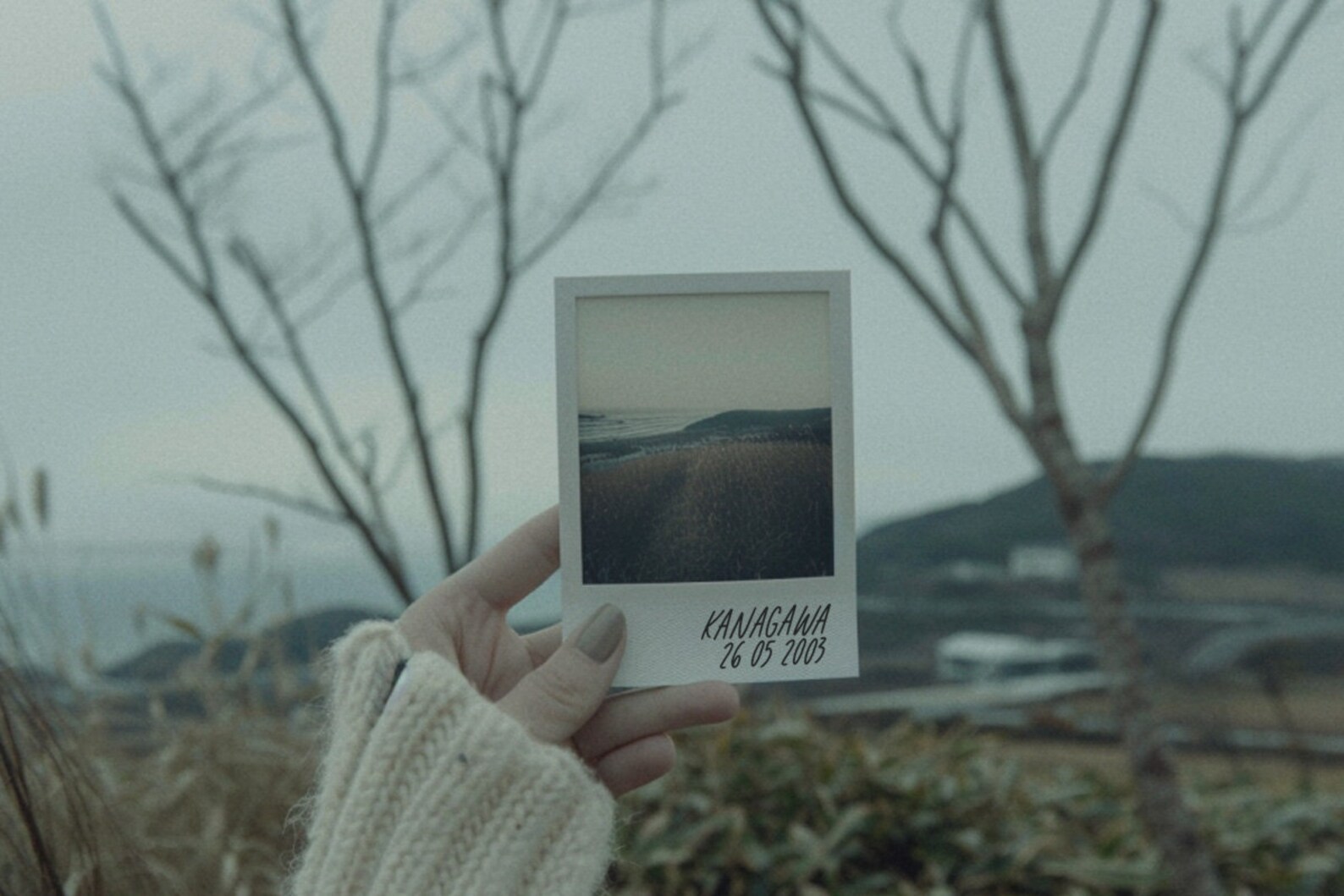 Smiley Brightly,handwritten, Script, Feminine, Modern Calligraphy ...