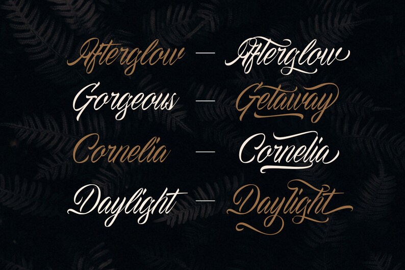 The Proactive Script Font: Brush Lettering With Swashes - Etsy