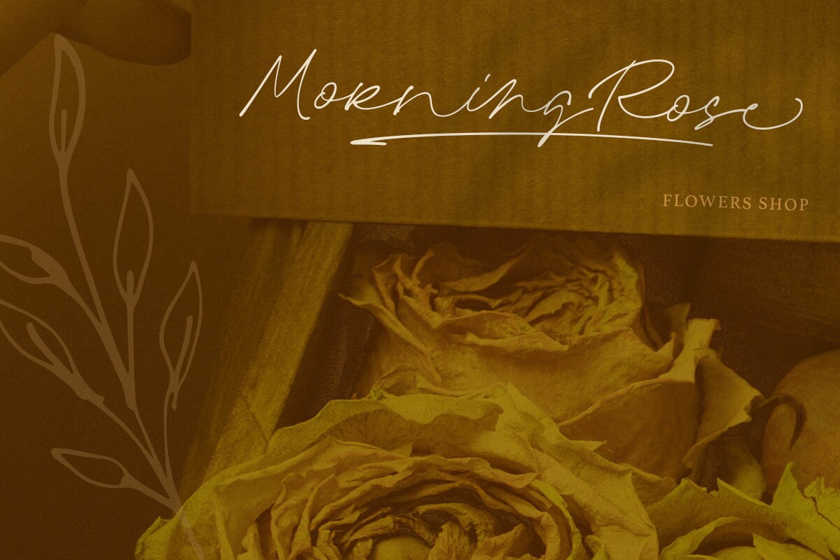 Malorta Story Script, Hand-drawn, Brush Texture, Feminine, Chic, Elegant, Graceful Calligraphy ...