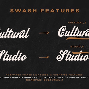 Midnight Cruise Font: Bold Script, Retro Groovy Font - Etsy
