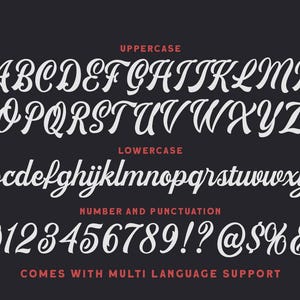 Revictus Script, Vintage Font, Gritty Font, Rustic Font, Retro Font ...