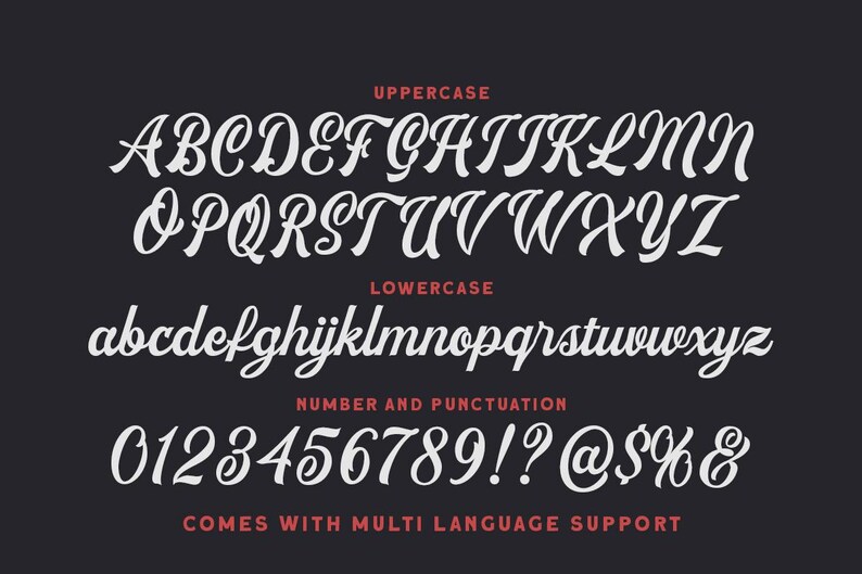 Revictus Script, Vintage Font, Gritty Font, Rustic Font, Retro Font, Lettering, Handwritten ...