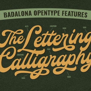 Badalona Display Script Font: Bold Retro Groovy Font - Etsy