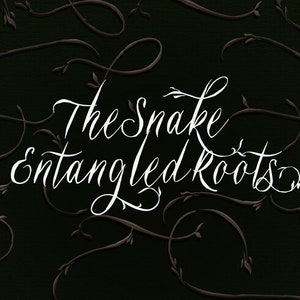 Belukar - Unique Display Script, Script Font, Display Font, Ornament Font, Swash Font, Unique ...