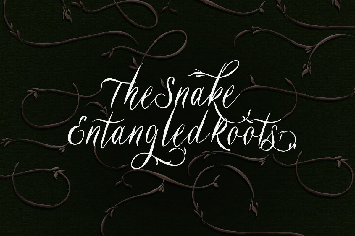 Belukar Unique Display Script, Script Font, Display Font, Ornament Font, Swash Font, Unique Font ...