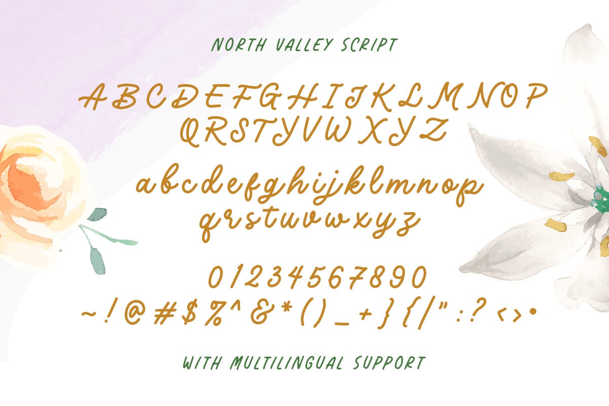 North Valley Cute Sans and Script, Cute Font, Display Font, Fun Font ...