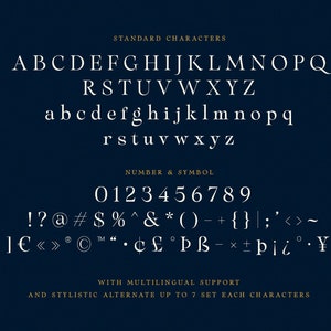 Sparky Dream - Curly Stylish Serif, Elegant, Stylish, Serif, Curly ...