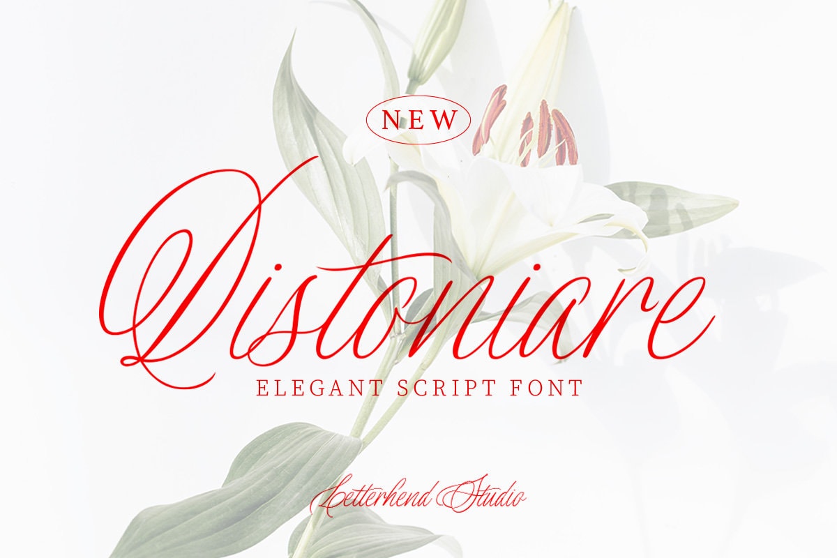 Distoniare Pretty Script, Script Font, Beautiful, Ornament, Signature ...