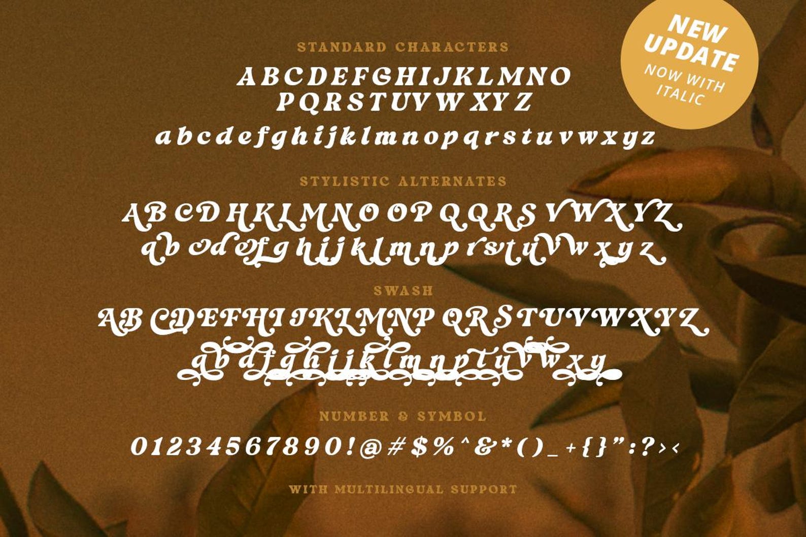 Radnick Retro Swash Font: Stylish Vintage Serif - Etsy