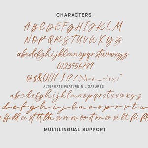 Aurelia Michelle Brush Font: Chic Handwritten Calligraphy - Etsy