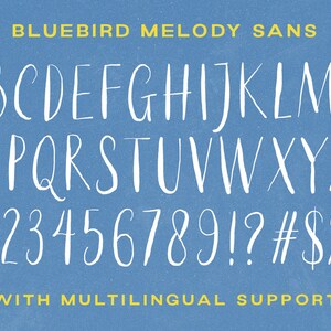 Bluebird Melody Font Duo: Hand-drawn Script & Sans Serif - Etsy