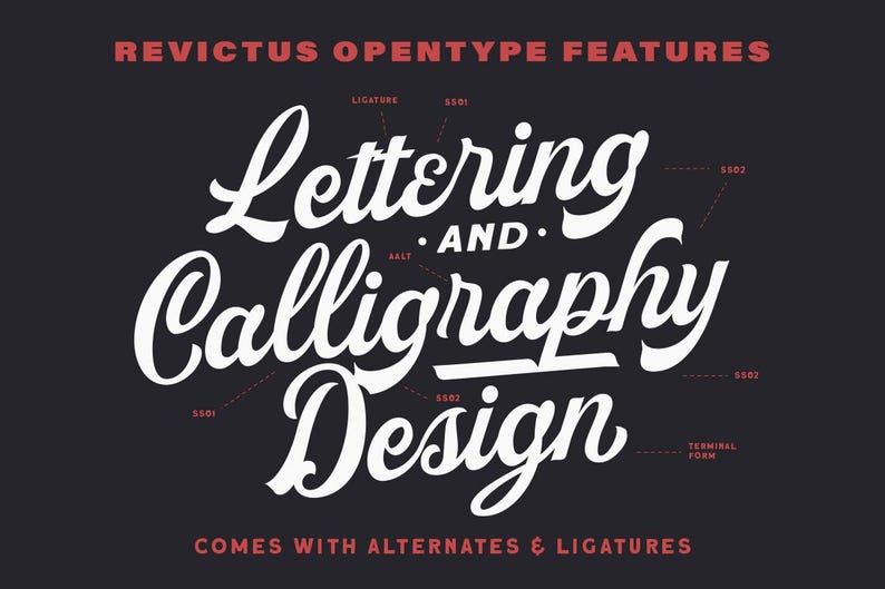 Revictus Script, Vintage Font, Gritty Font, Rustic Font, Retro Font ...