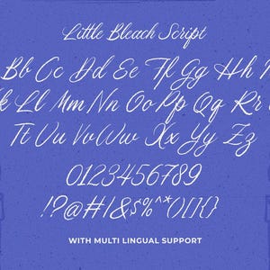 Little Bleach Font Duo: Casual Script & Organic Handwriting - Etsy