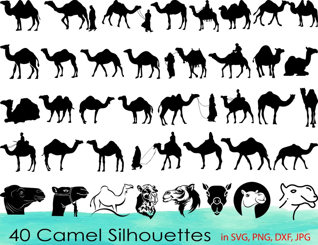 40 Camel SVG Bundle,camel Clipart,camel Head Svg,camel Dxf,camel Vector ...