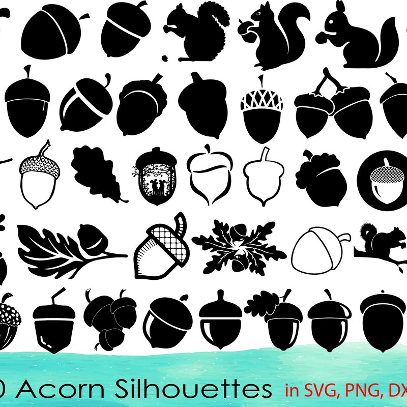 Acorn Clipart - Etsy