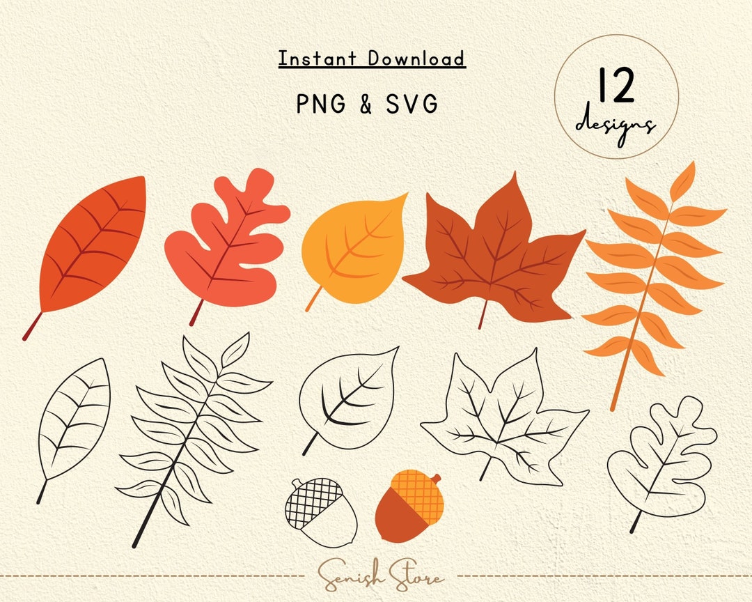 12 Fall Leaf Designs Svg & Png | Fall Leaf Bundle | Autumn Clipart ...