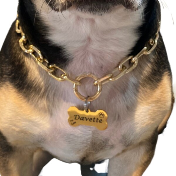 Dog Chain - Etsy