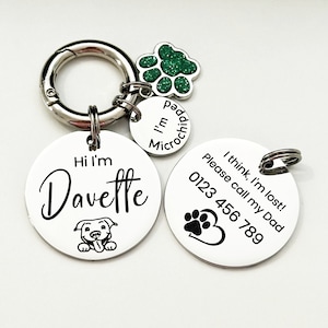 Personalised Pet ID Tag With Portrait, Durable Stainless Steel Engraved ...