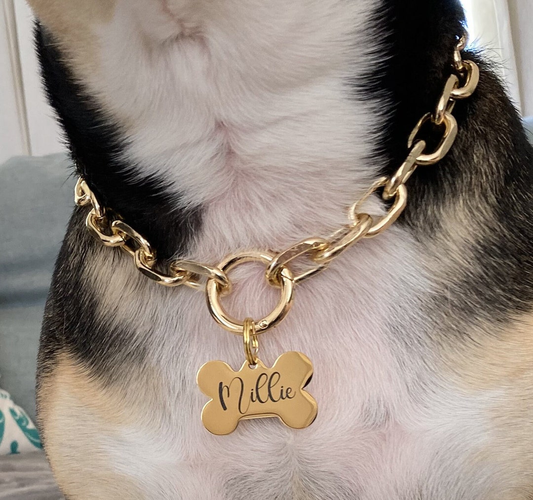 Chain Link Dog Necklace, Lightweight Dog Chain Collar, Dog Necklace for ...