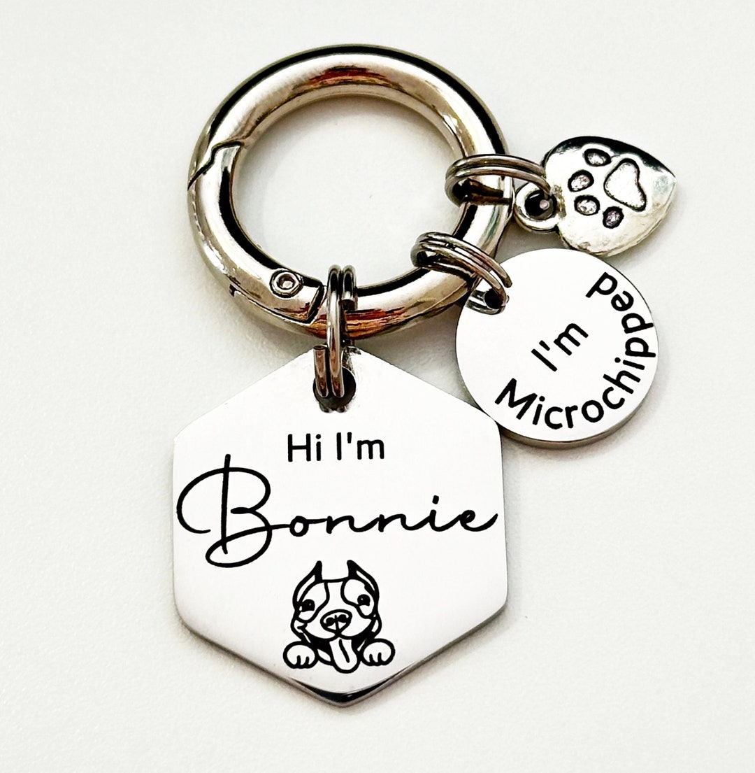 Dog Name Tag Personalised, Hexagon Dog Tag Engraved in Stainless Steel ...